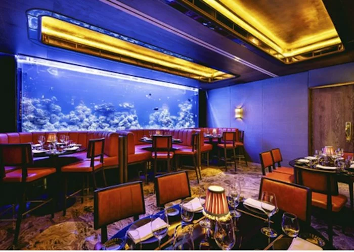 Sexy Fish - The Access Flooring Company